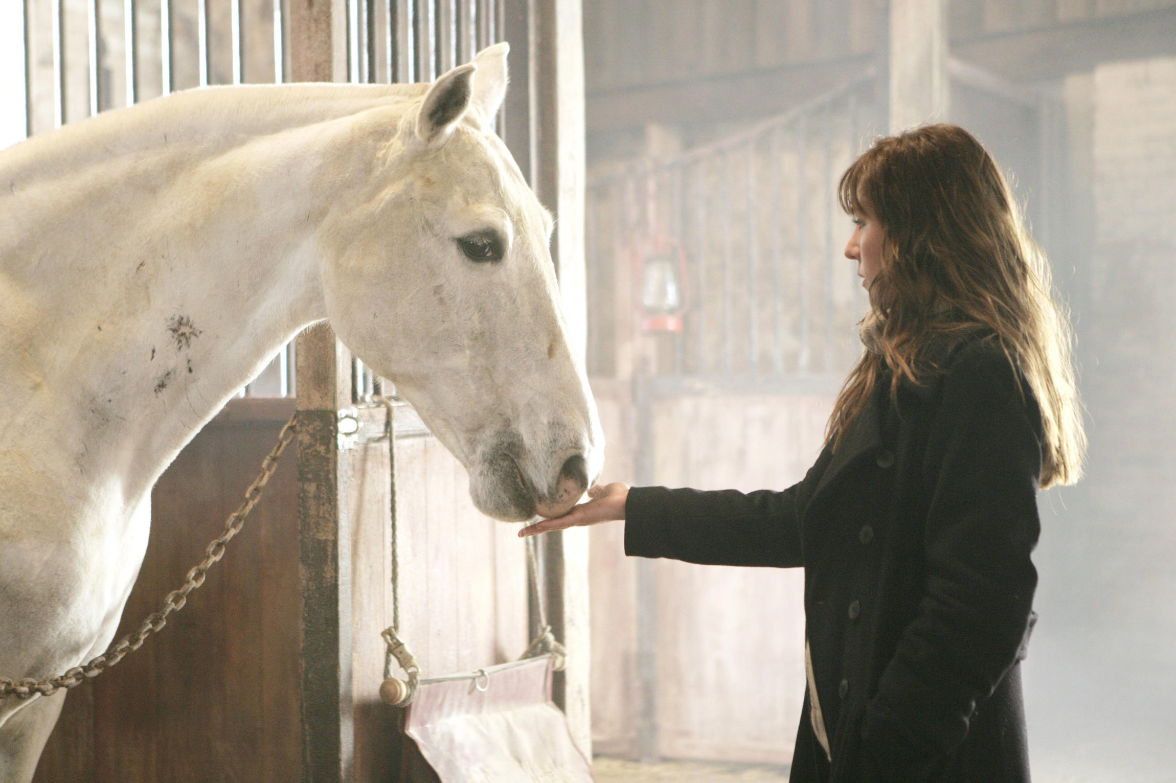 DANSE AVEC LUI | FranceTvPro.fr
