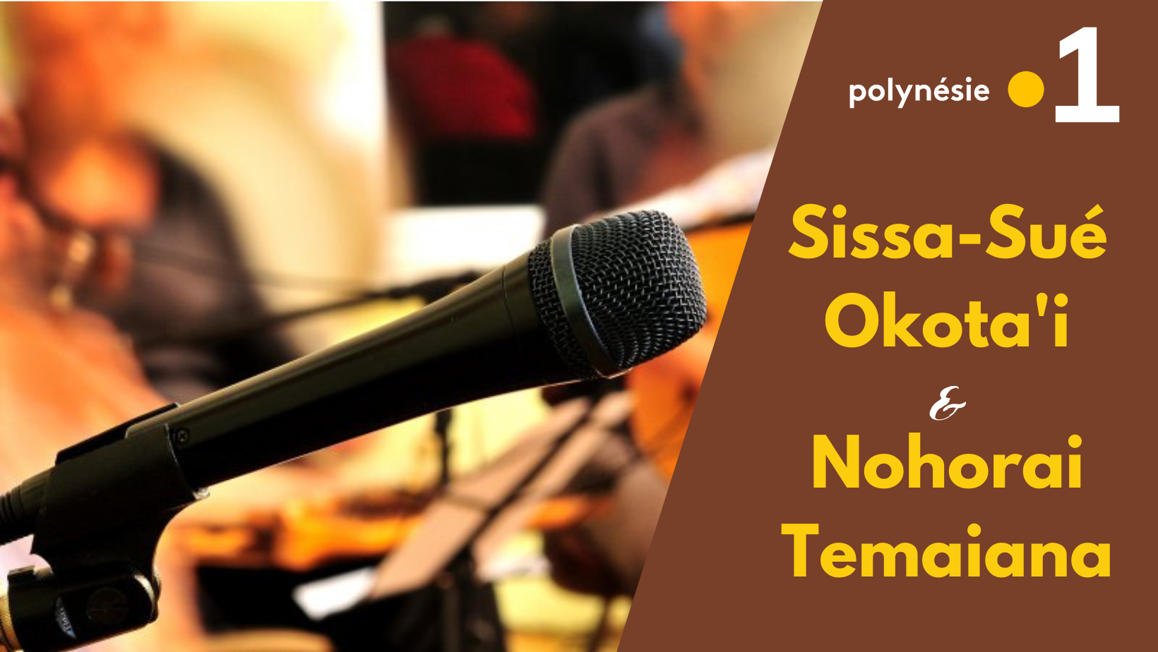 LA FÊTE DE LA MUSIQUE | FranceTvPro.fr