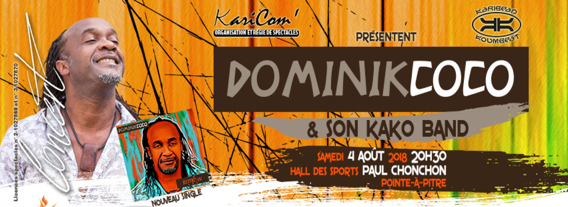 CONCERT DOMINIK COCO | FranceTvPro.fr