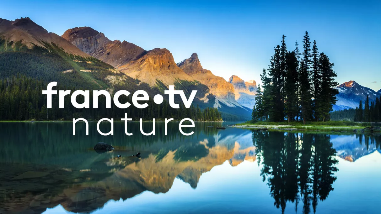 france.tv nature | FranceTvPro.fr