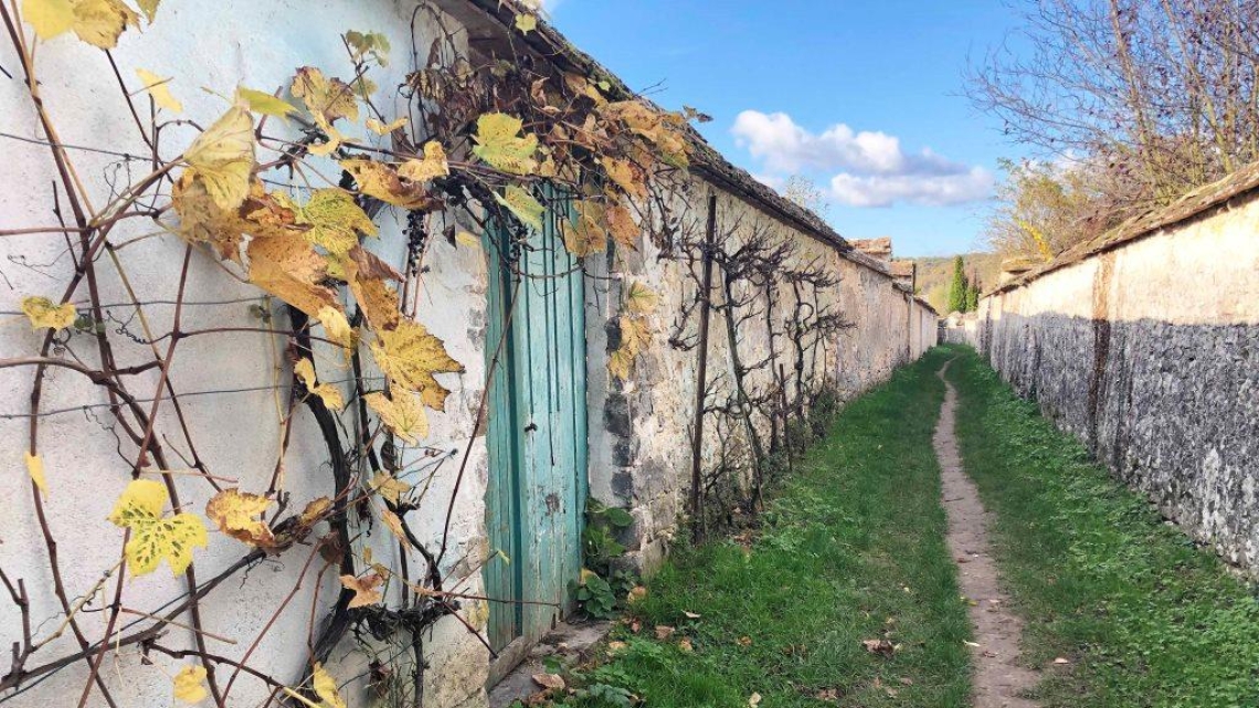 Village 9 : Thomery | FranceTvPro.fr