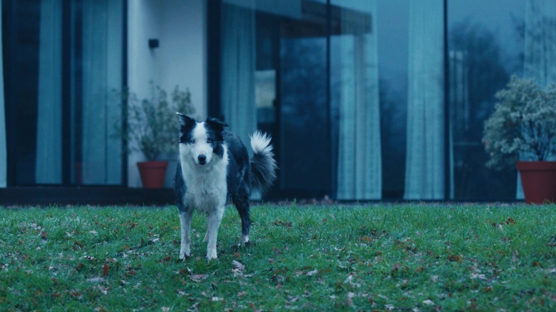 Contre toi | FranceTvPro.fr