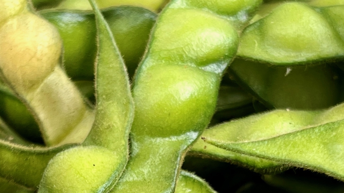 KALOU PILON / Saison 3 | FranceTvPro.fr