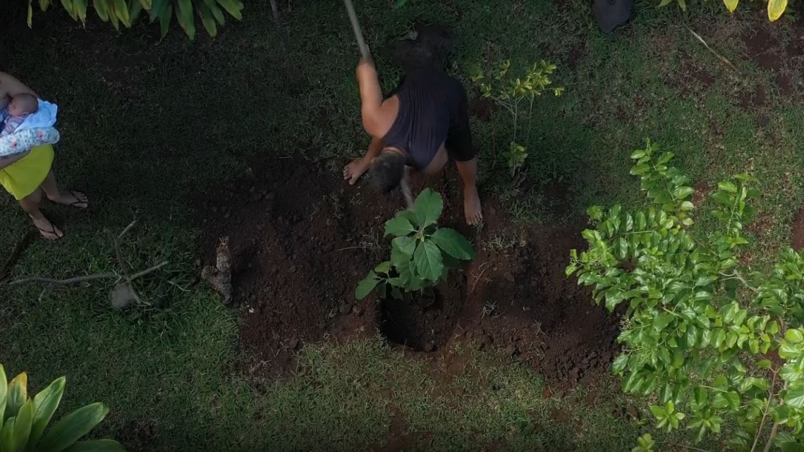 "Te Pu Fenua, branche de vie" | FranceTvPro.fr