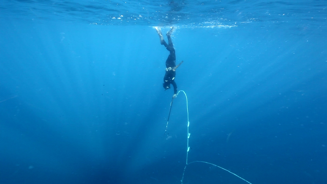 Toa Hunter-Gatherer | FranceTvPro.fr