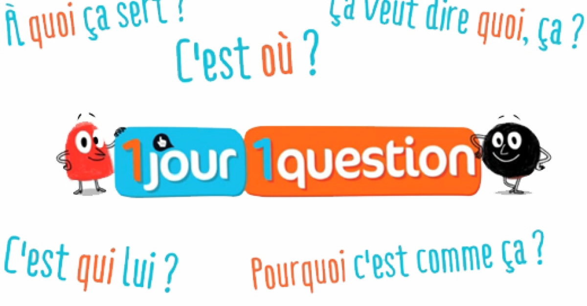 Un Jour une Question | FranceTvPro.fr