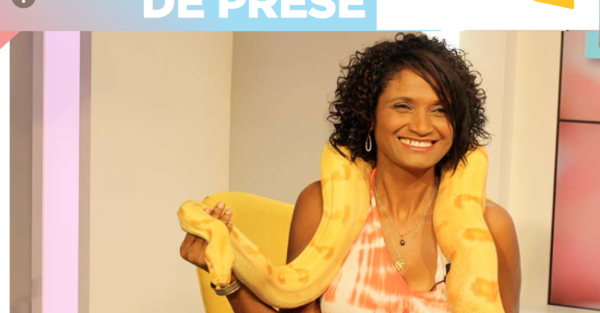 DIS MOI TOUT | FranceTvPro.fr