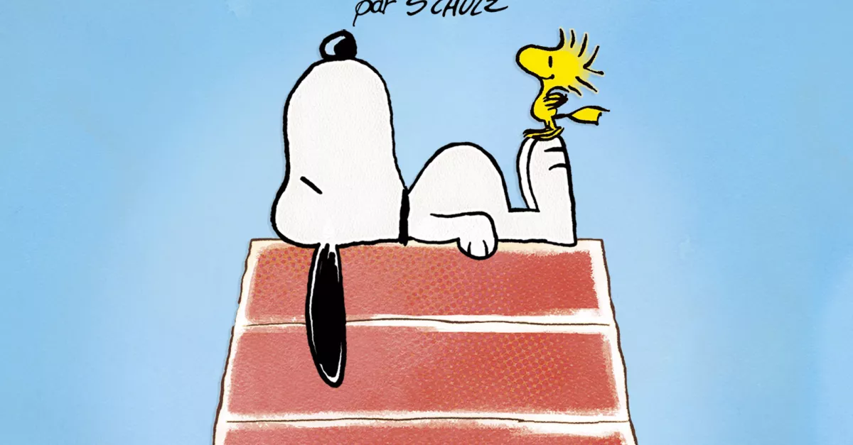 Snoopy | FranceTvPro.fr