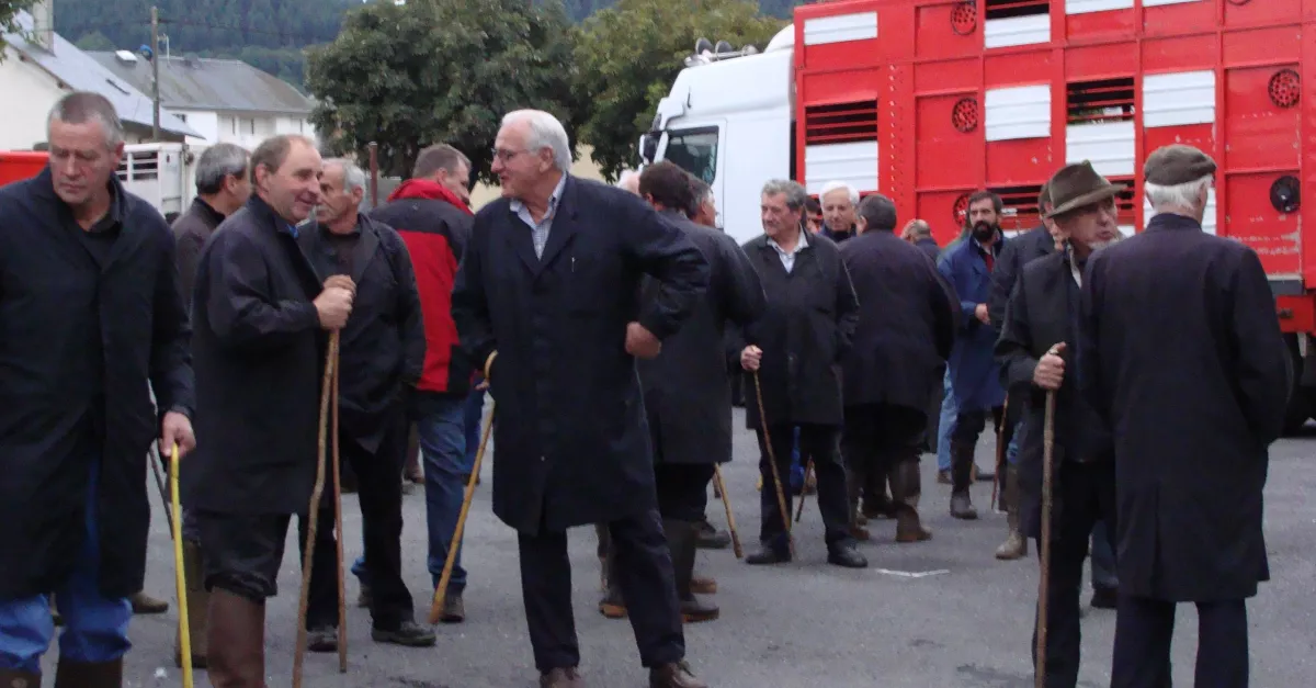 Documentaire inédit | FranceTvPro.fr