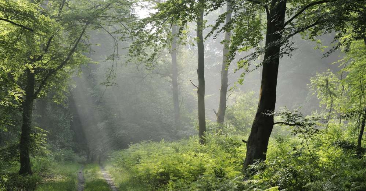 Le meilleur de la nature | FranceTvPro.fr