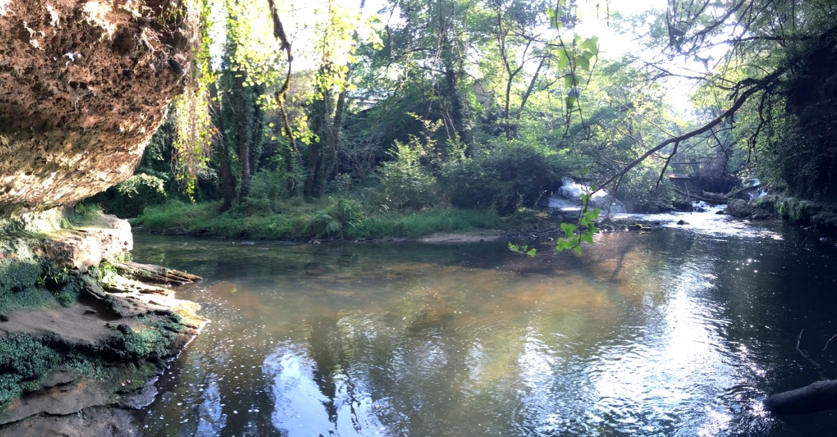 Le Ciron, une si précieuse rivière | FranceTvPro.fr