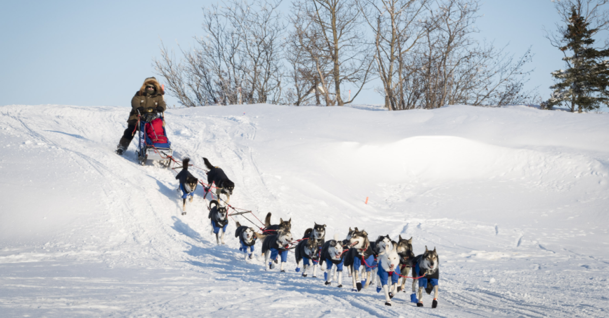 Coffret Nicolas Vanier | FranceTvPro.fr