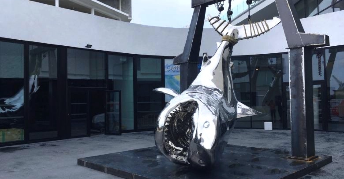 Immersion au Musée Mer Marine de Bordeaux | FranceTvPro.fr