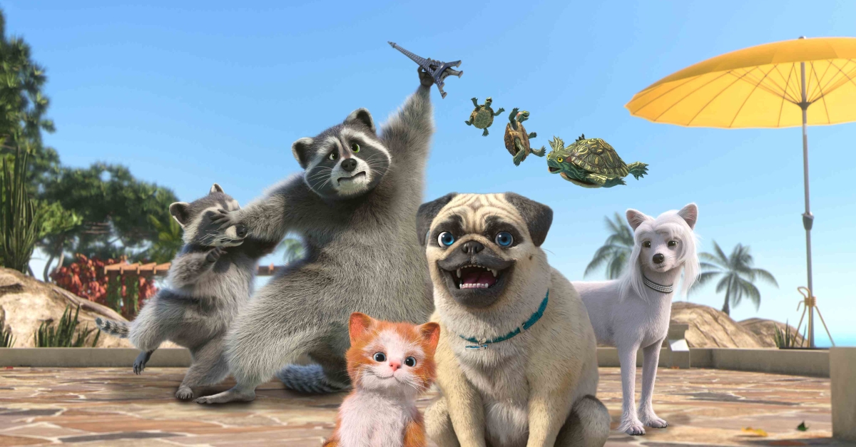 OKOO | FranceTvPro.fr