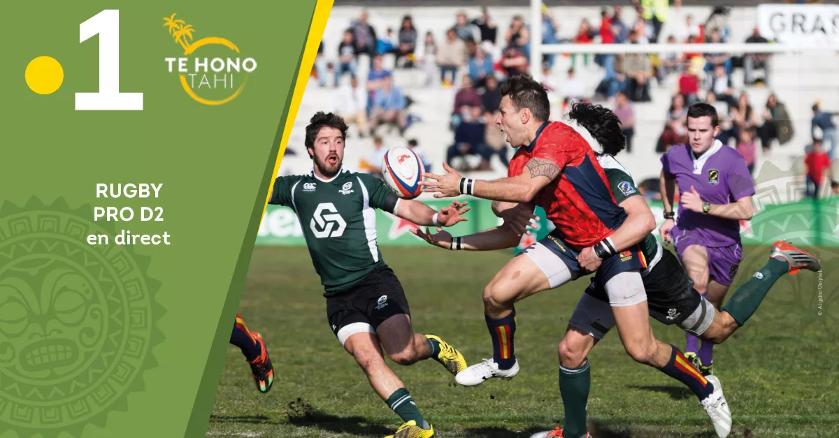Rugby Pro D2 2019 | FranceTvPro.fr