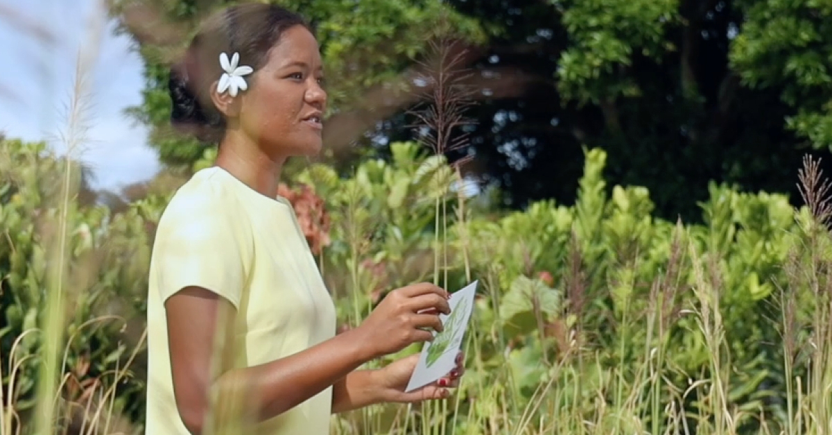 TRANSFORMATION | FranceTvPro.fr