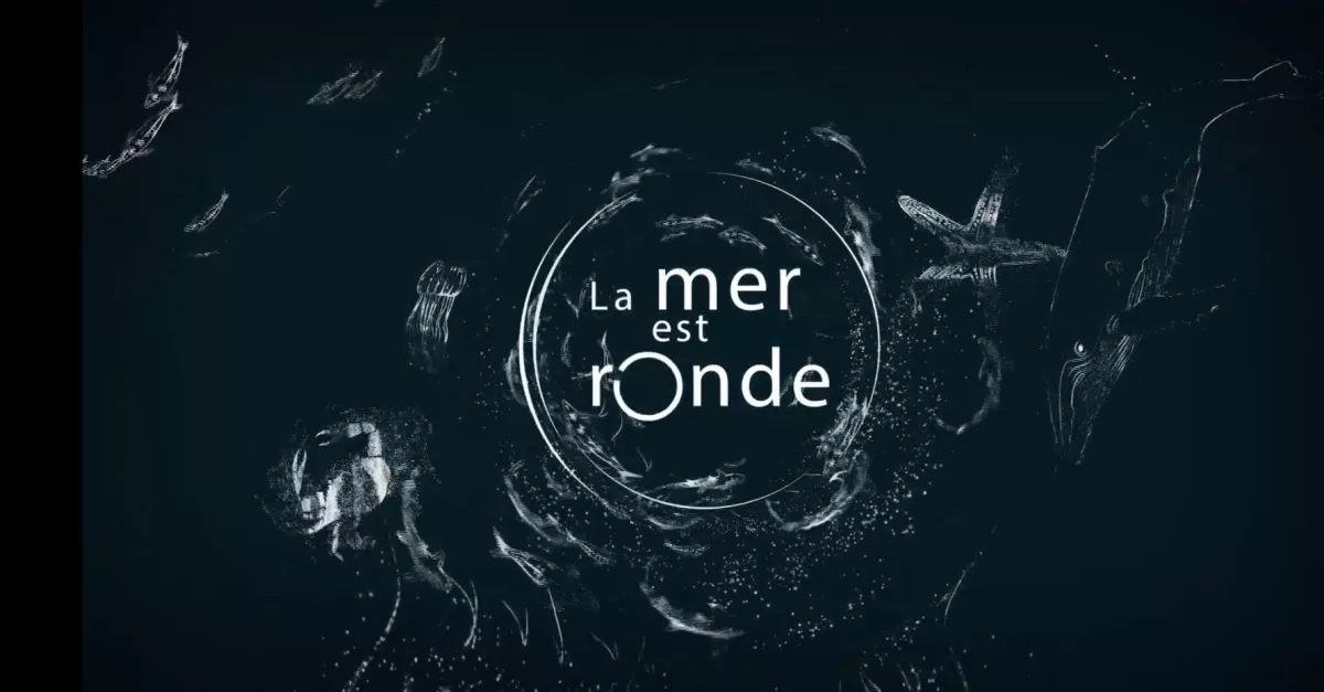 La mer est ronde | FranceTvPro.fr