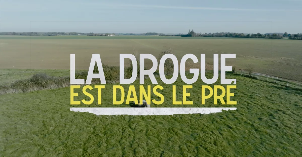 La drogue est dans le pré | FranceTvPro.fr