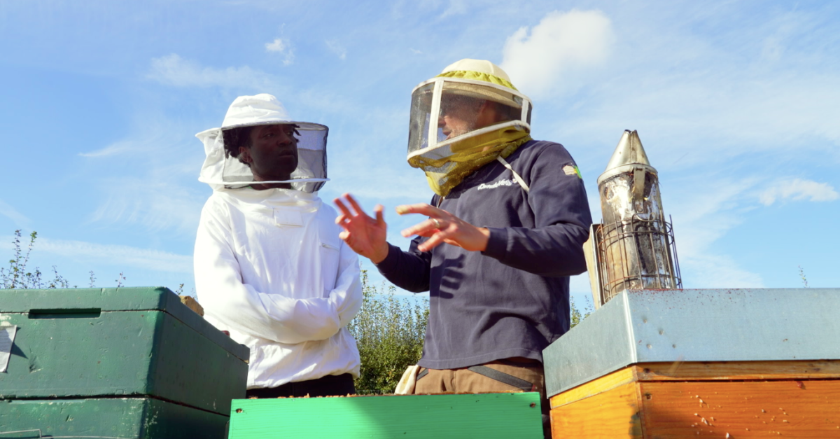 Le Cateau-Cambrésis, rural et génial | FranceTvPro.fr