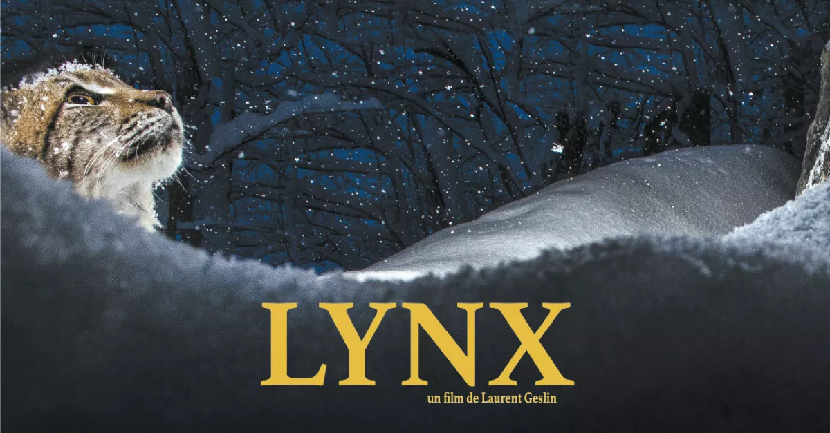 Lynx | FranceTvPro.fr