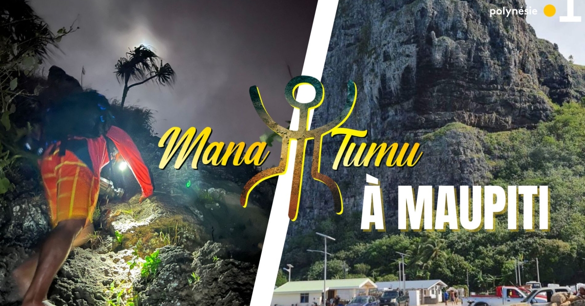 Mana tumu | FranceTvPro.fr