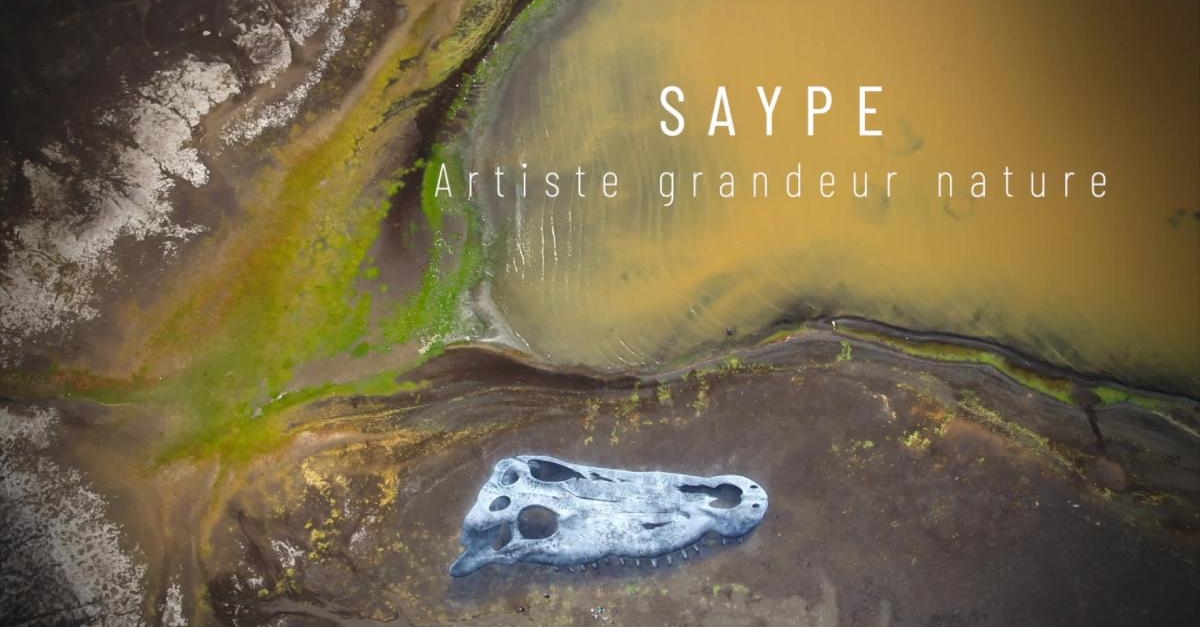 Saype, artiste grandeur nature | FranceTvPro.fr
