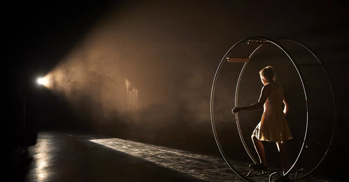 Le cycle de l'absurde | FranceTvPro.fr