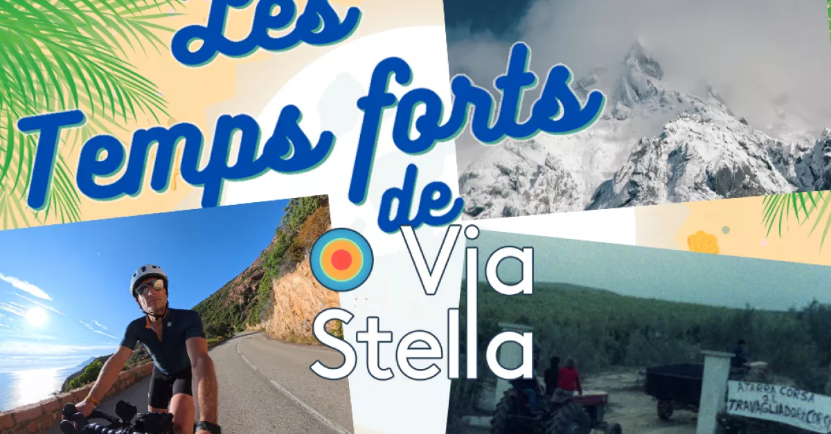 Les Temps Forts de la semaine 34 | FranceTvPro.fr