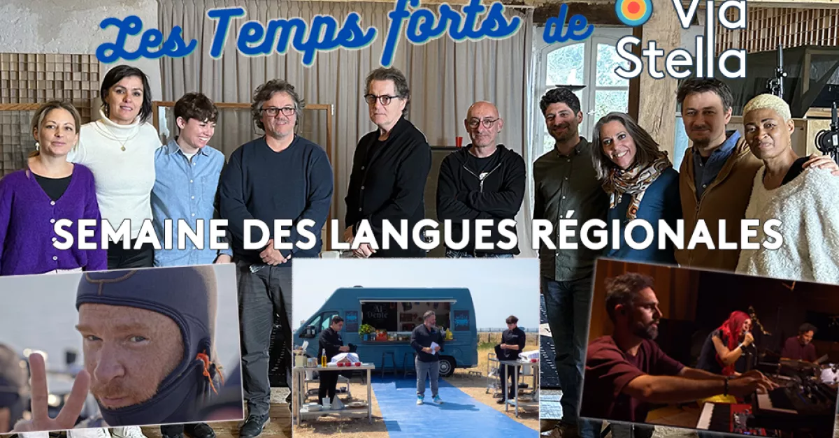 Les Temps Forts de la semaine 39 | FranceTvPro.fr
