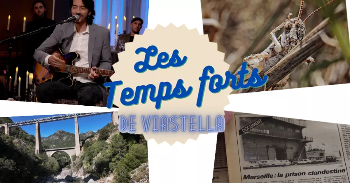 Les Temps Forts de la semaine 40 | FranceTvPro.fr