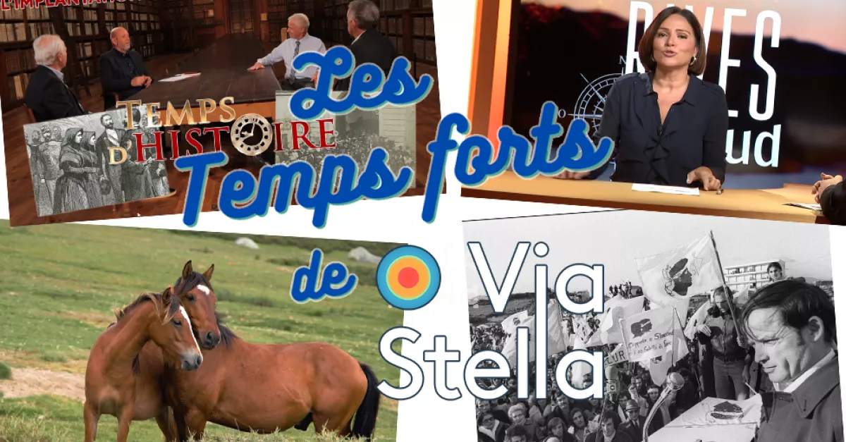 Les Temps Forts de la semaine 42 | FranceTvPro.fr