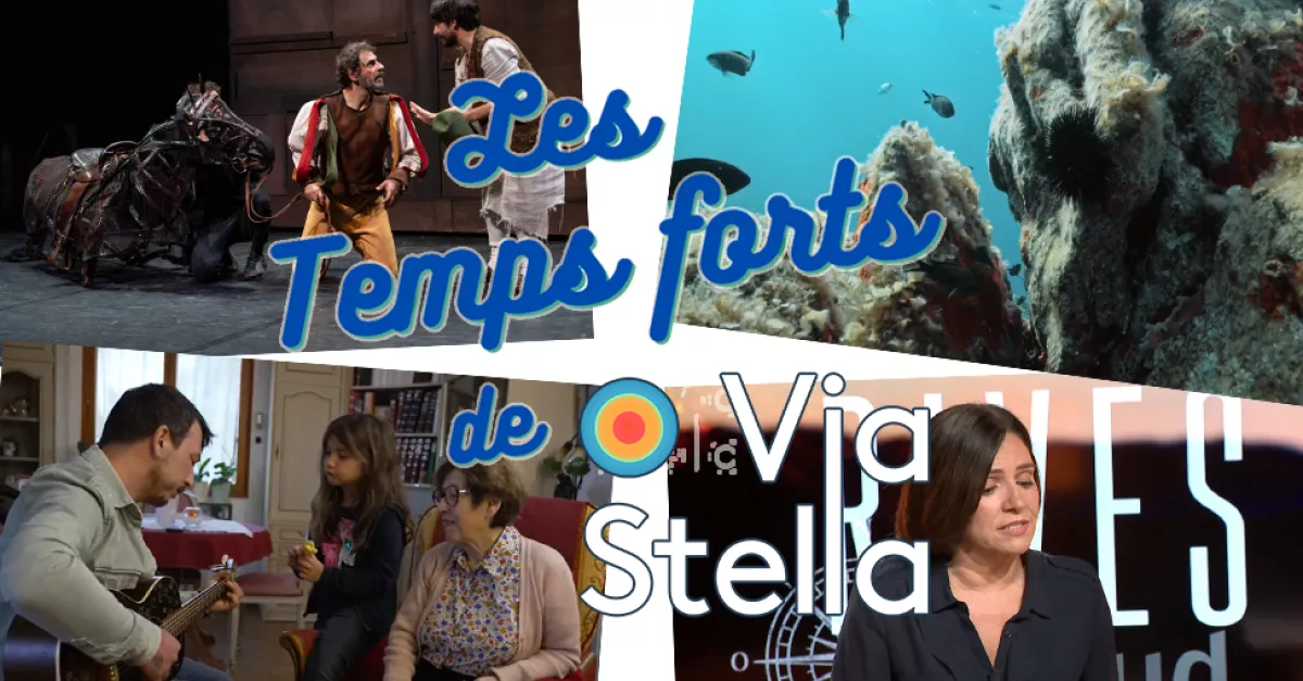 Les Temps Forts de la semaine 46 | FranceTvPro.fr