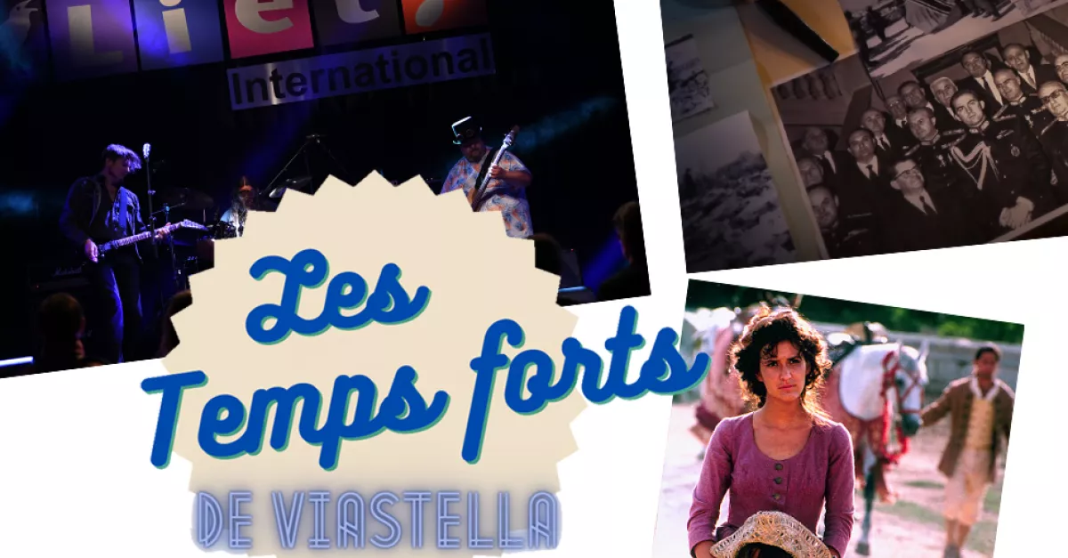 Les Temps Forts de la semaine 47 | FranceTvPro.fr