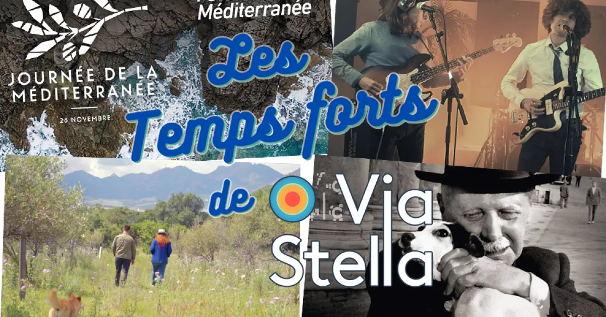 Les Temps Forts de la semaine 48 | FranceTvPro.fr