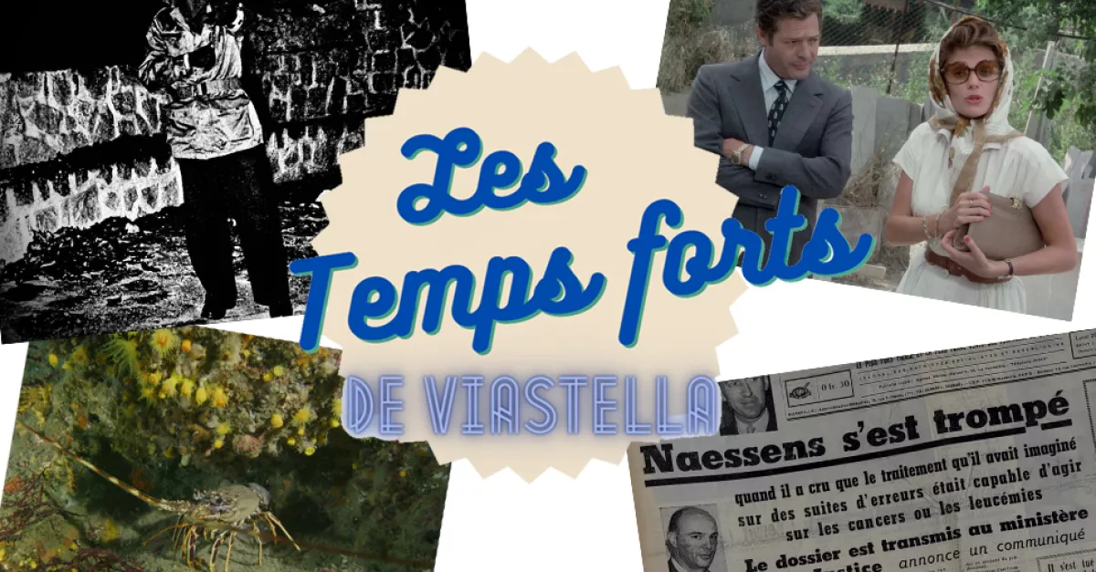 Les Temps Forts de la semaine 48 | FranceTvPro.fr