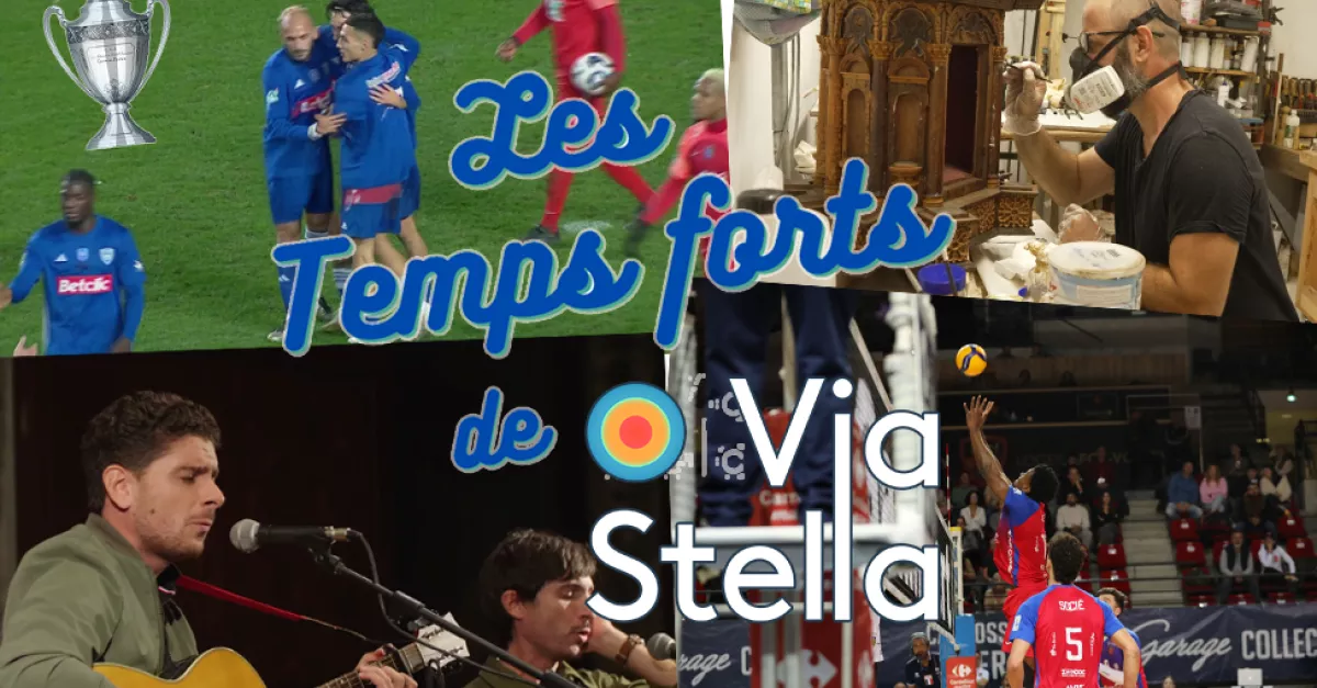 Les Temps Forts de la semaine 49 | FranceTvPro.fr