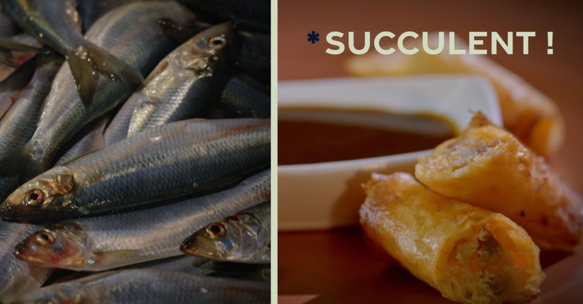 Le hareng | FranceTvPro.fr